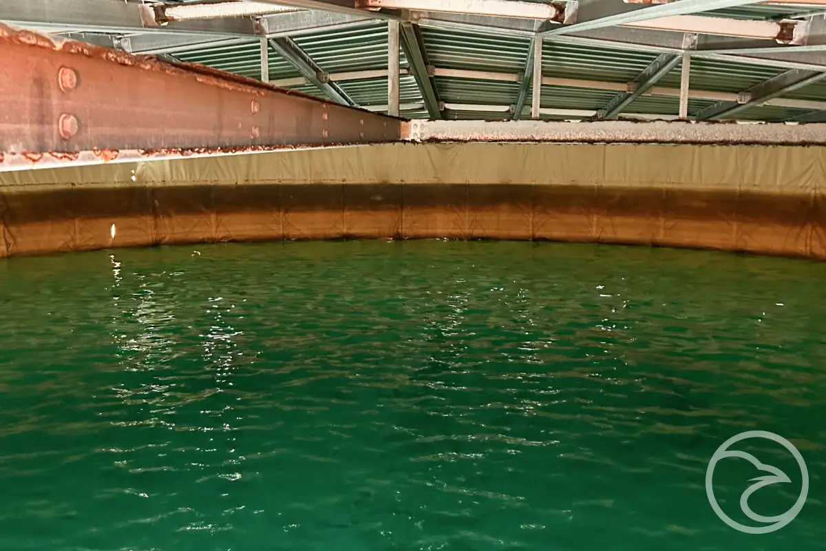 Water Quality Monitoring: Essential Protection for Water Tanks